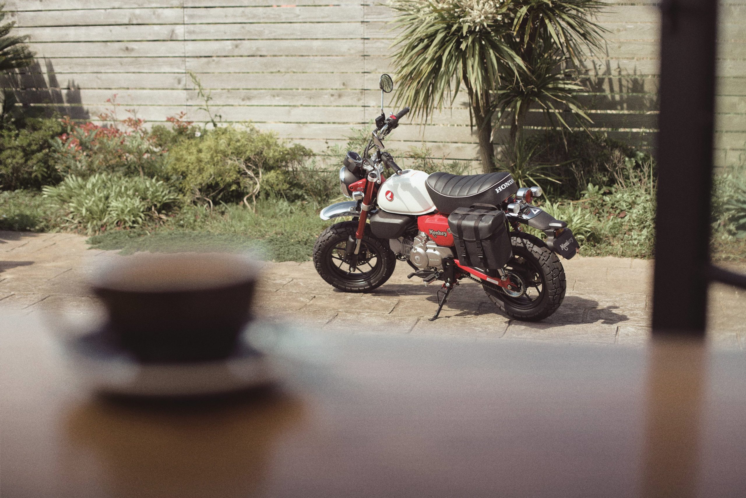 Honda Monkey 2025 - Motor40